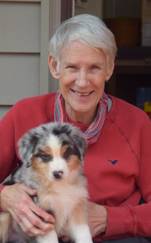 Susan Peters Obituary - East Lansing, MI