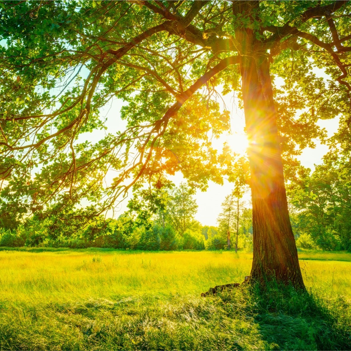 Malvin Howlett Obituary - Arlington, VA