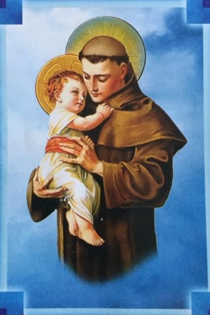 Matthew Dall Obituary - Sarasota, FL