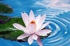 Nina Culver Obituary - North Hollywood, CA