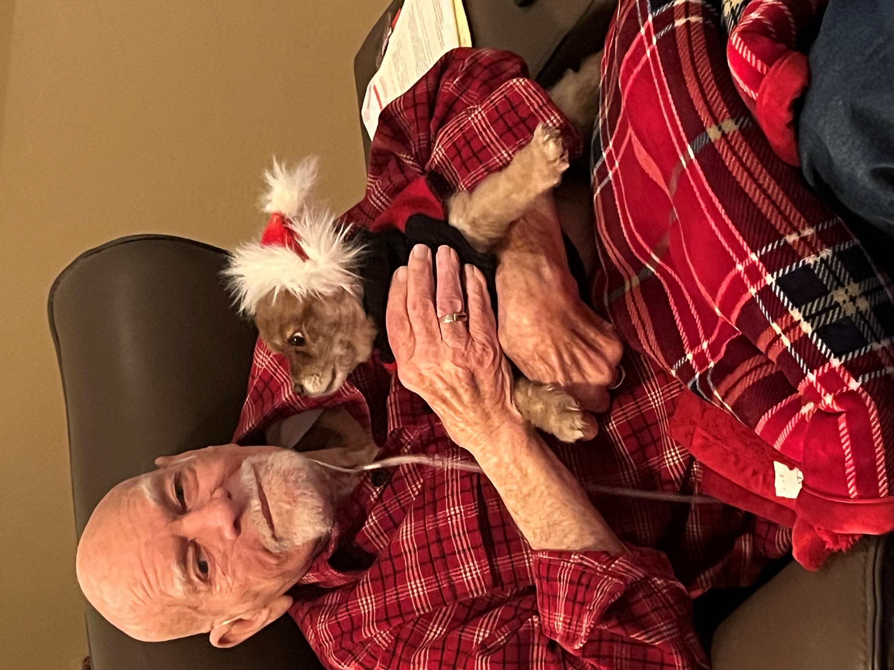 Harry Fowler Obituary - Tucson, AZ