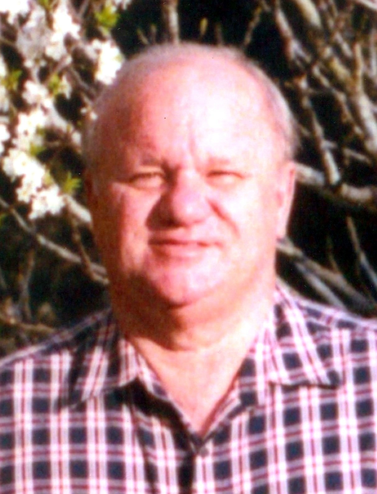 Daniel Edward Reeve Obituary - Austin, TX