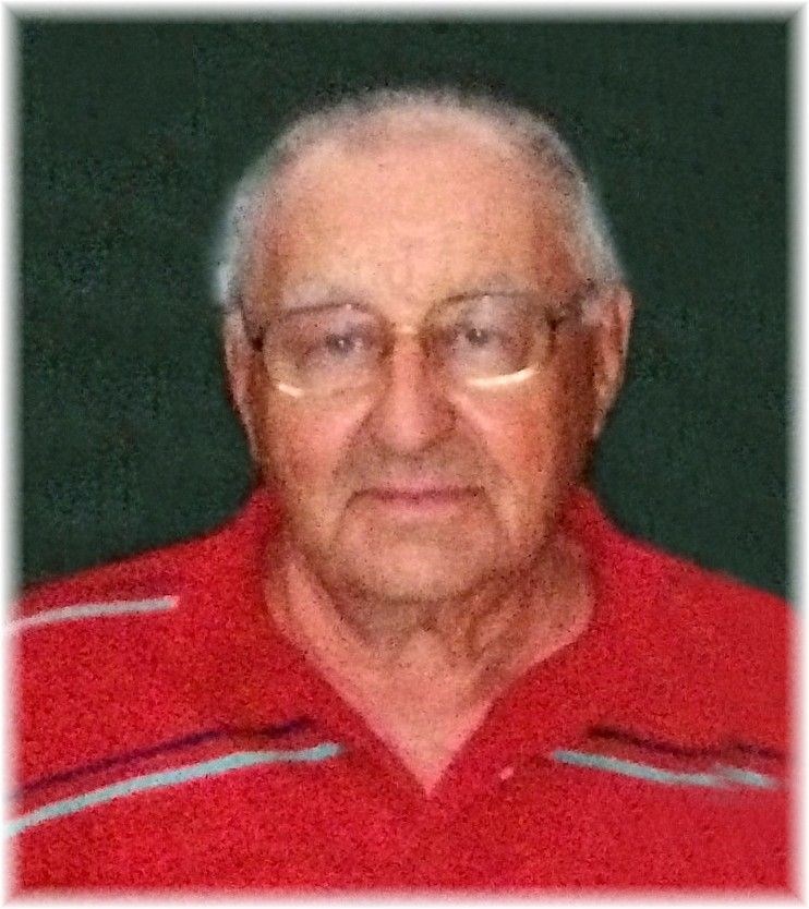 Henry Stanley Sadocha Obituary - Warren, MI