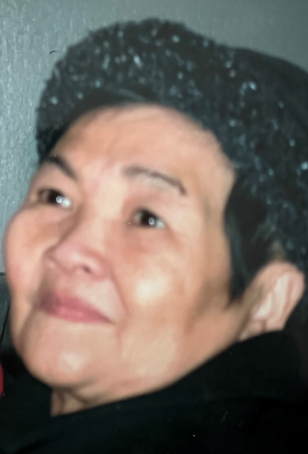 Susan Ho Obituary - San Jose, CA