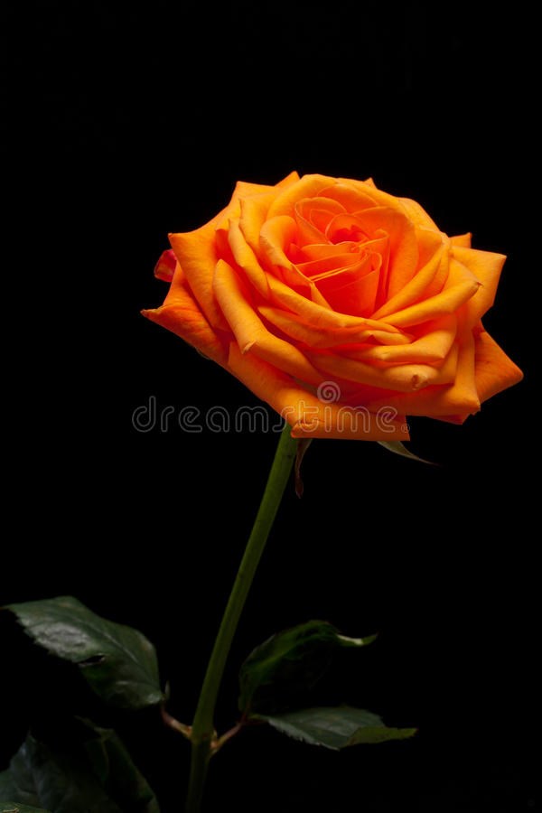 Shiu Lam Chow Obituary - Barstow, CA Shiu Lam Chow Obituary - Barstow, CA