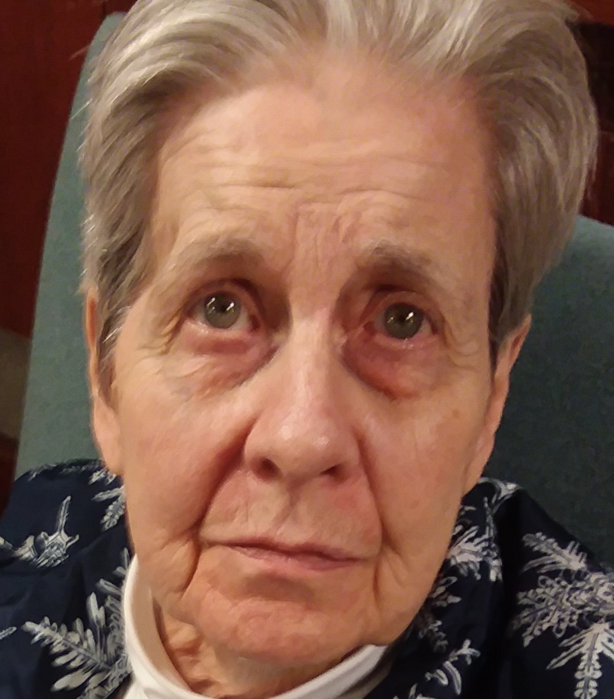 Carol Schultz Obituary - West Seneca, NY