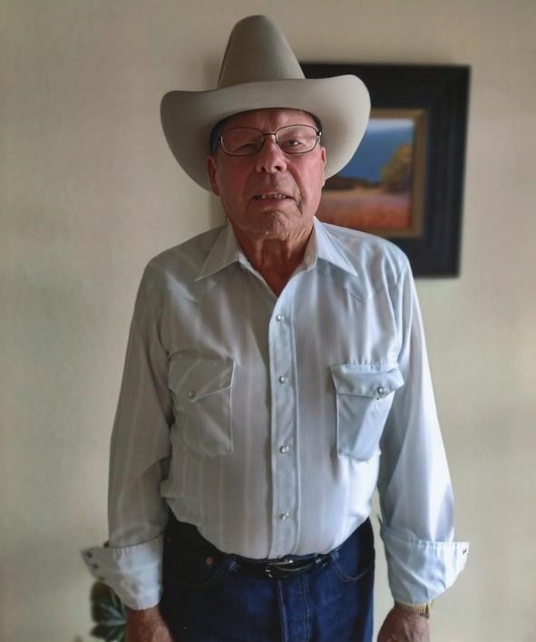 Wayne Richard Witte Obituary - Mesa, AZ