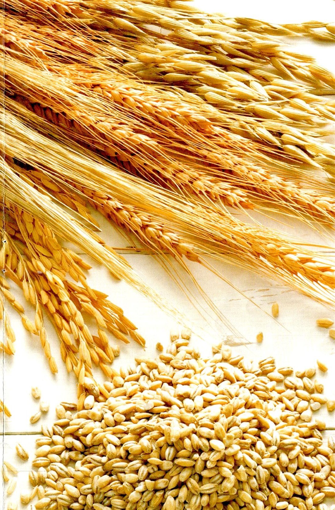 Chad Cook Obituary - Kimball, NE