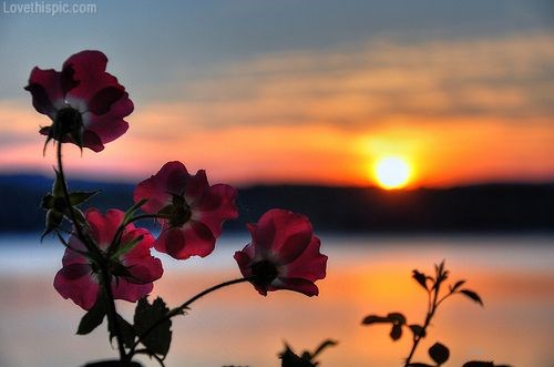 Miriam Watts Novak Obituary - New Bern, NC