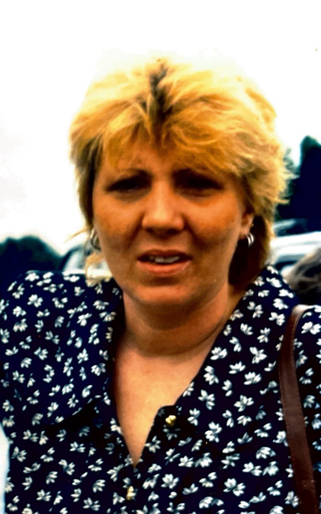 Ginger McGlaughlin Obituary - Grove City, OH