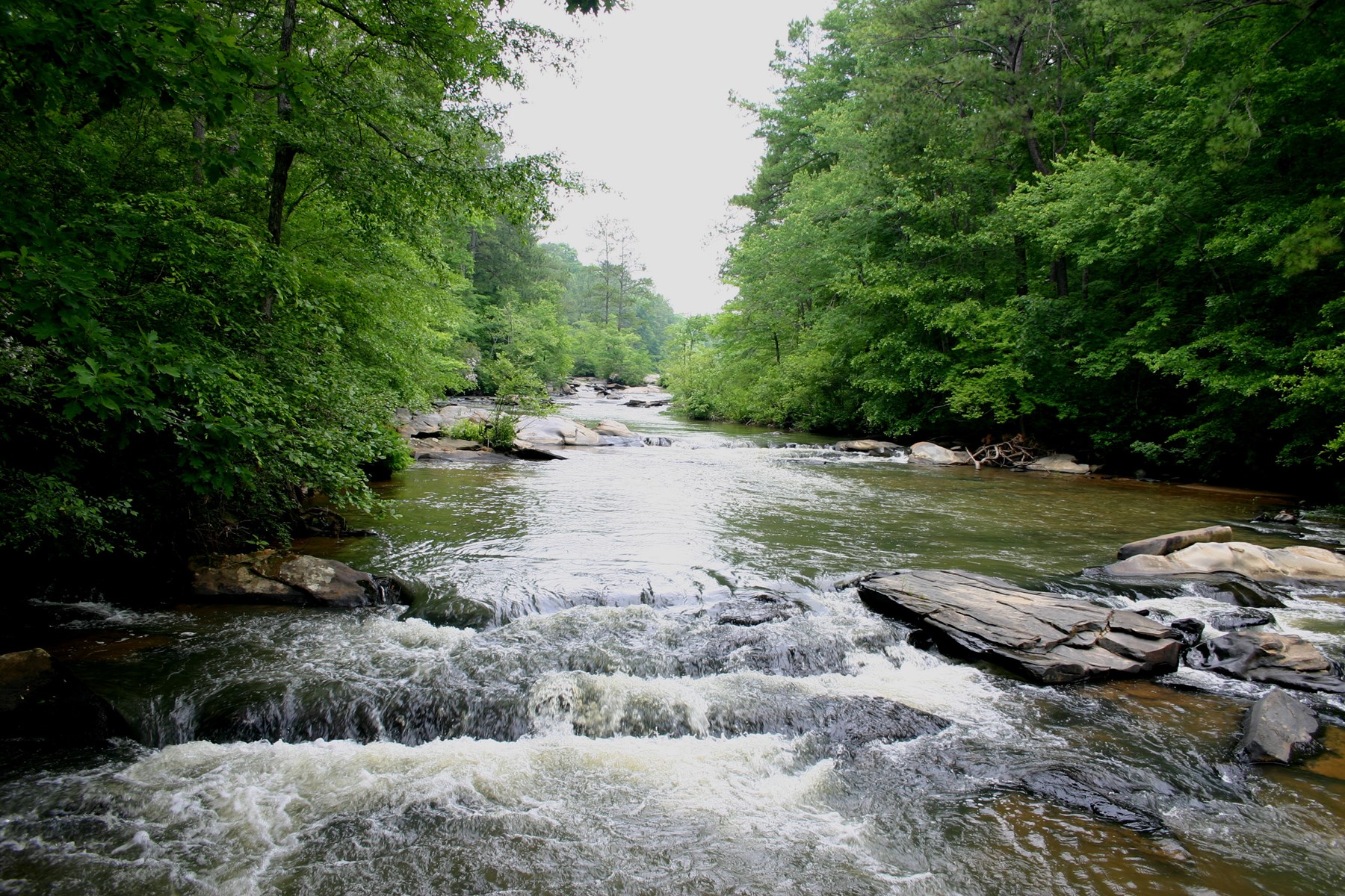 Gregory Alan Siddall Obituary - Fort Lauderdale, FL