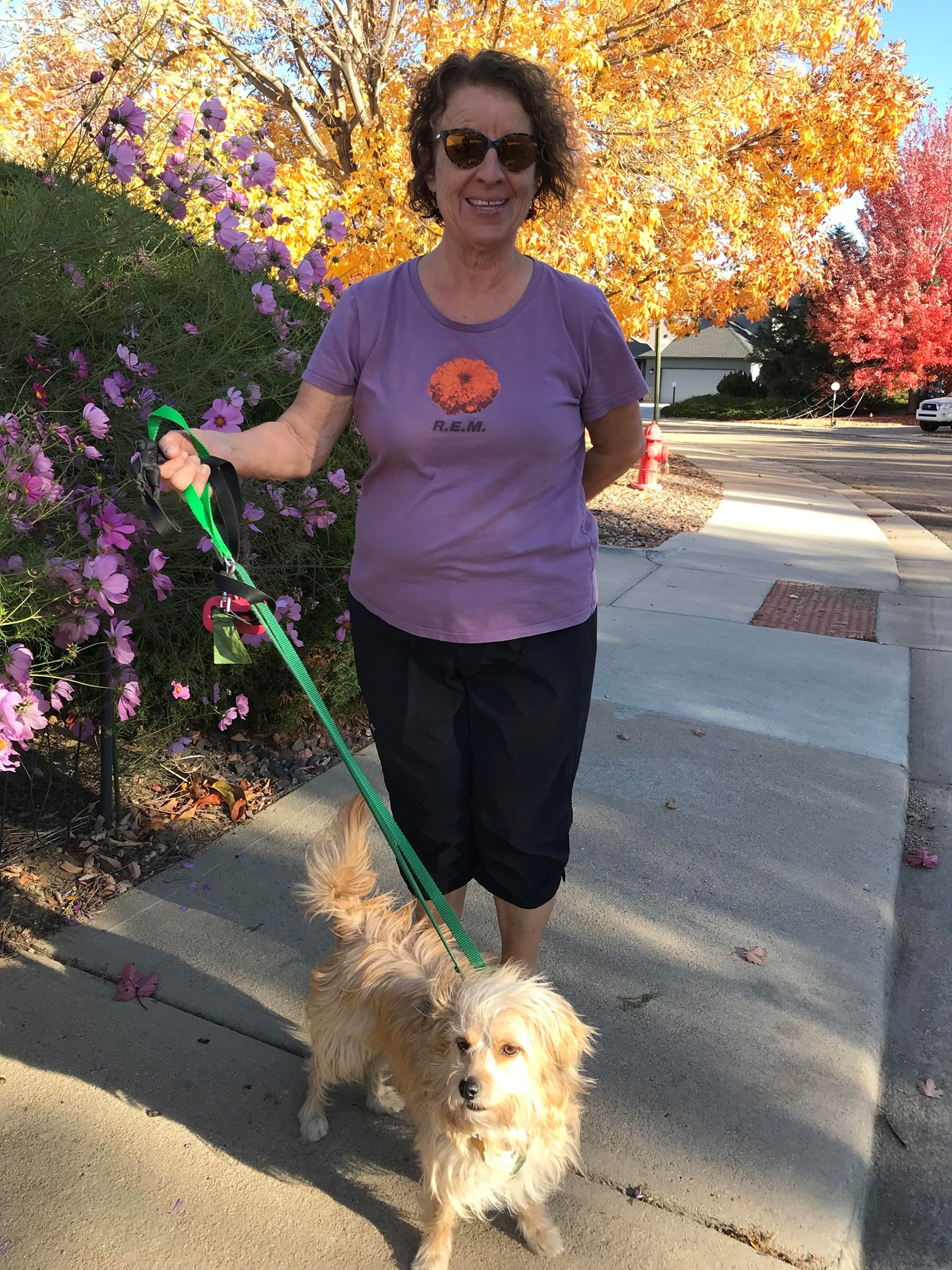 Barbara Comstock Obituary - Longmont, CO