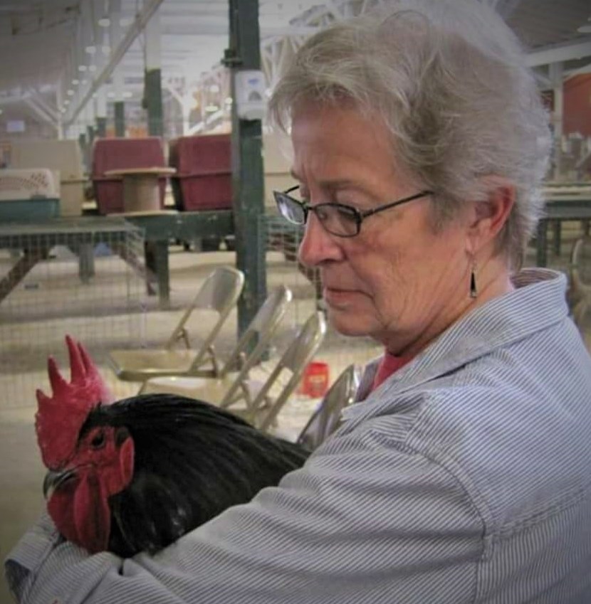 Toby Lamb Obituary - Longmont, CO