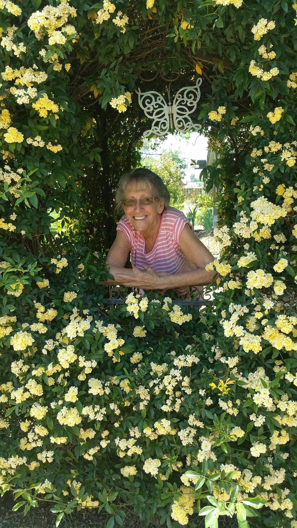 Darlene Kathryn Barnes Obituary - Hemet, CA