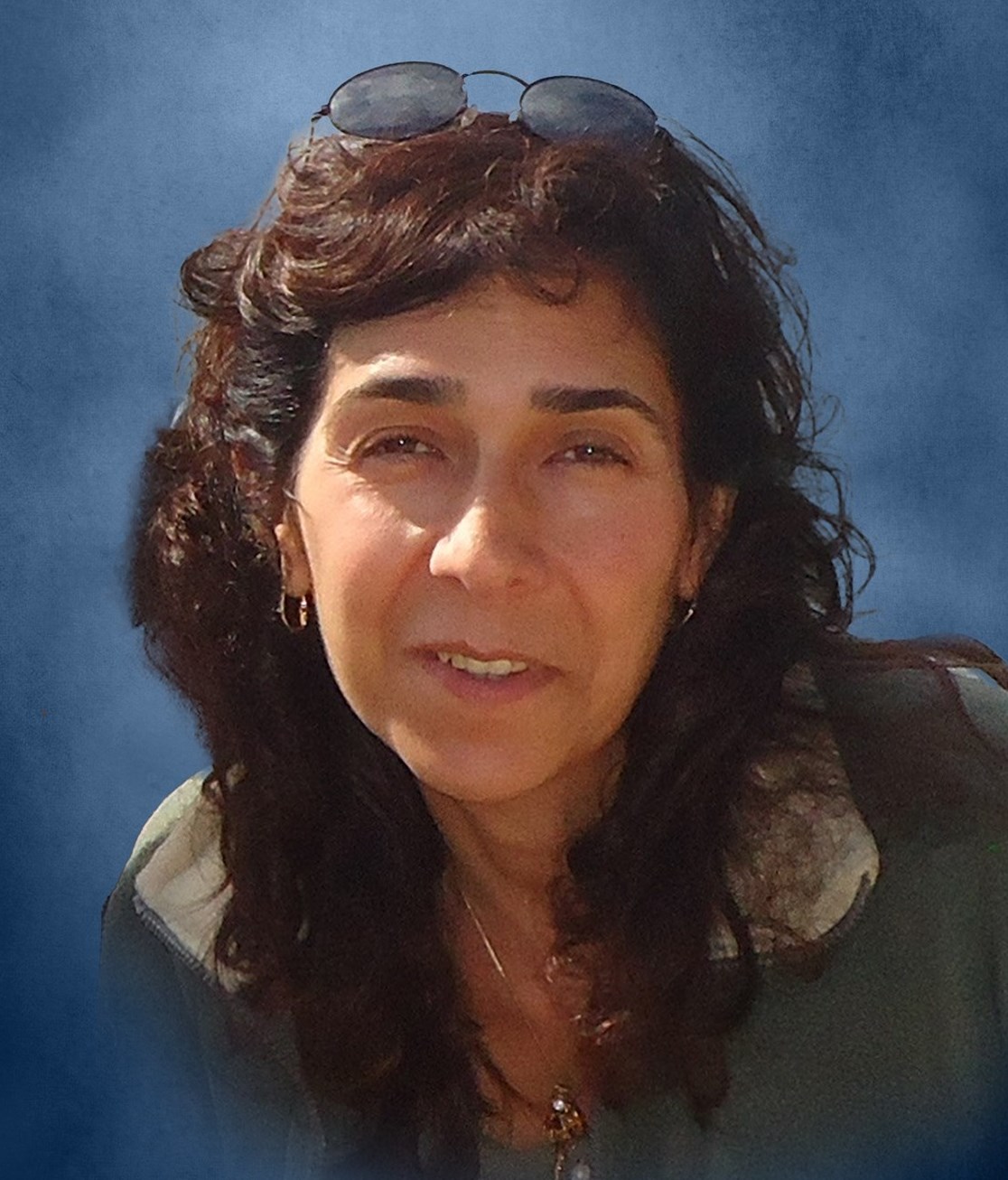 Nora Suarez-Christensen Obituary - Arlington Heights, IL