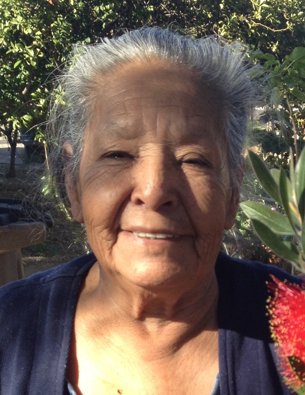 Luisa Maria Perez Obituary - Goodyear, AZ