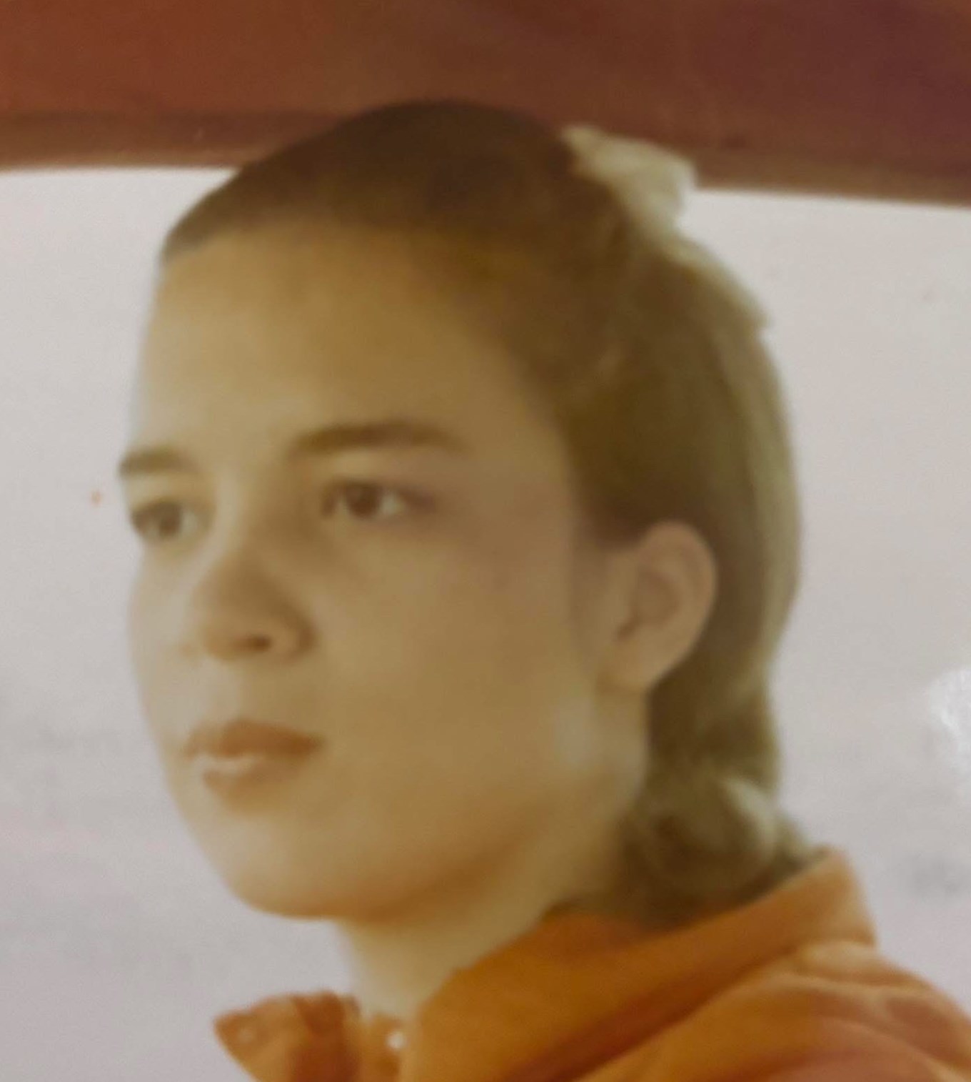 Joyce Bolanos Rodriguez Obituary - Houston, TX