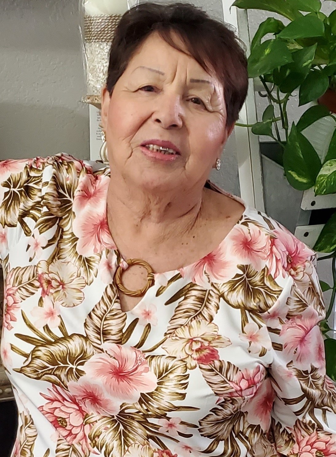 Feliciana de Santiago Portillo Obituary - Phoenix, AZ