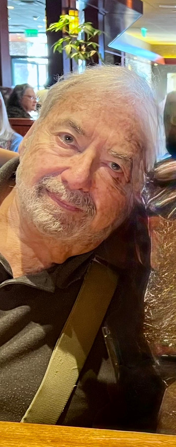 Mark Freedman avis de décès - Brookline, MA