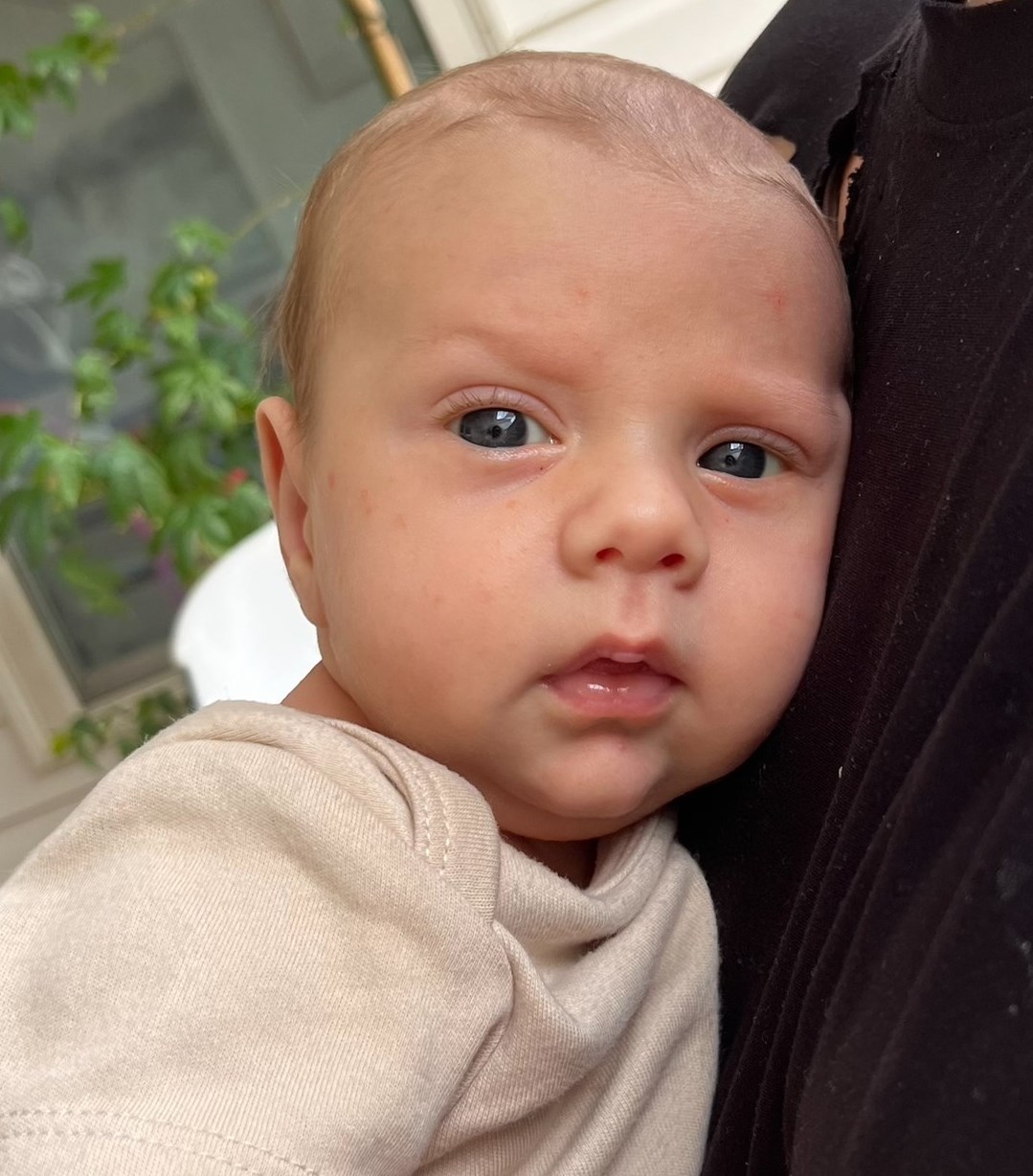 Nathan Torregrossa Obituary - Baton Rouge, LA