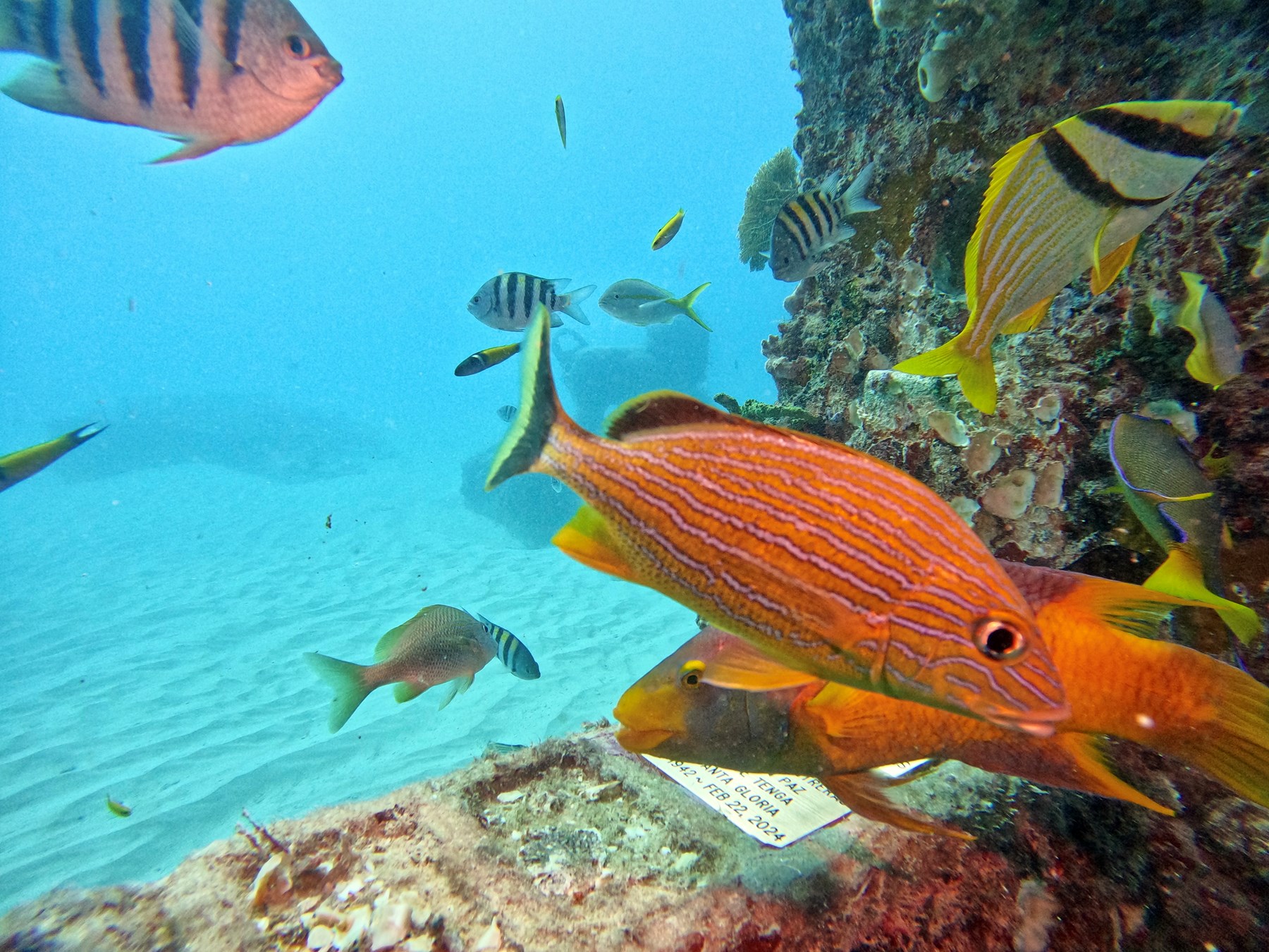 Maria Contreras Obituary - Fort Lauderdale, FL