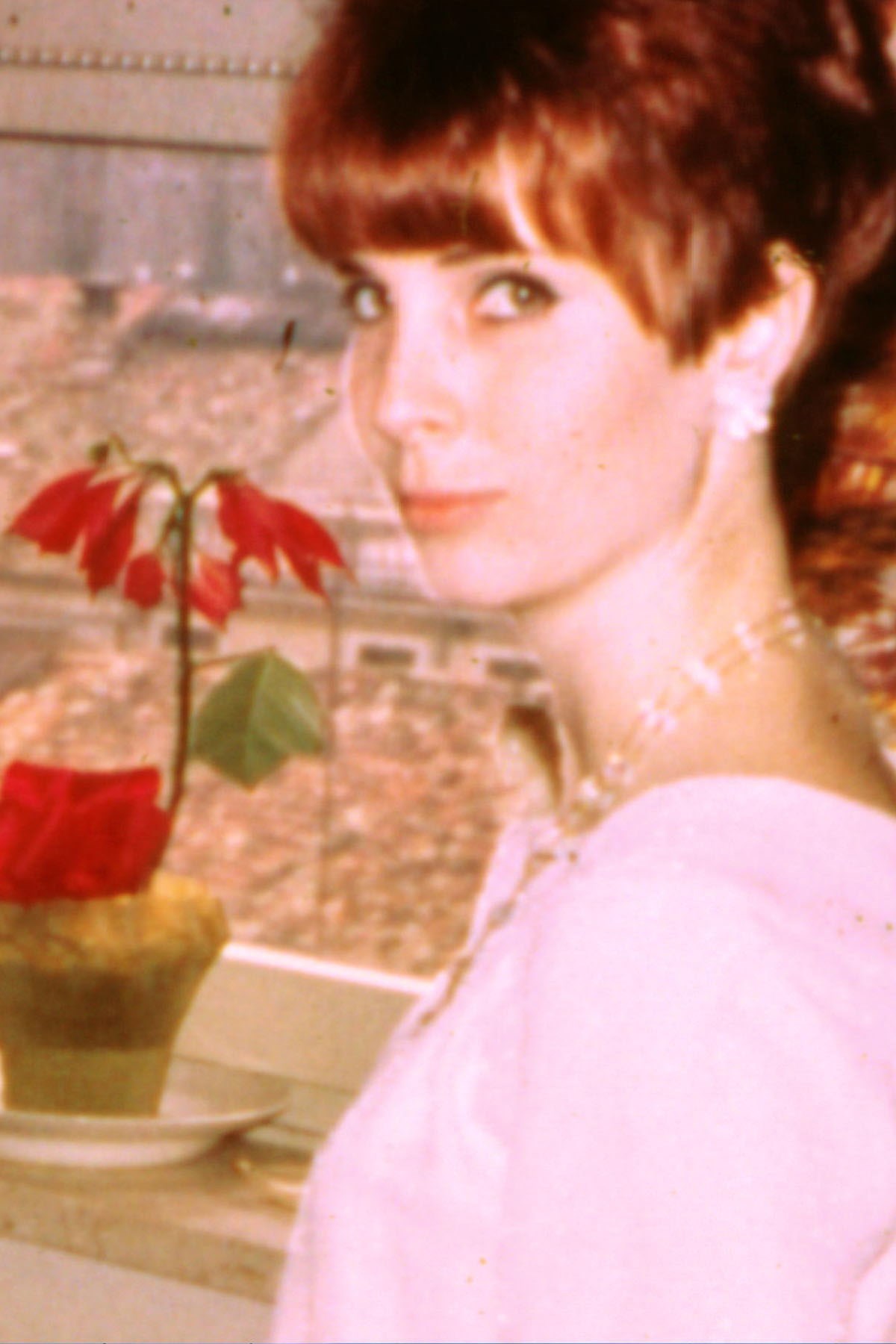 Deborah Worrell Troth Obituary - Levittown, PA