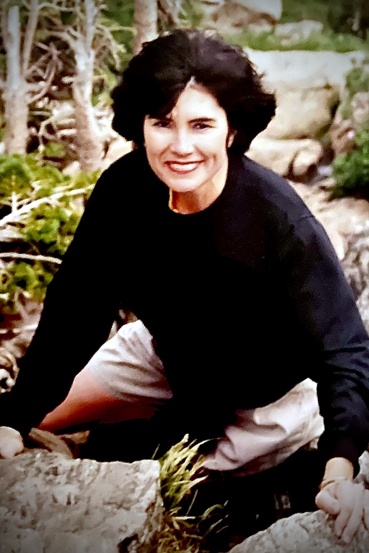 Susan Norman Warren Obituary - Austin, TX