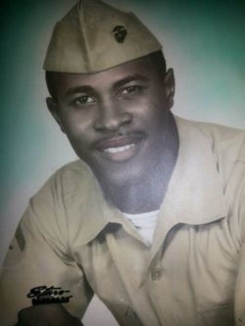 Alfred Ray Lewis Obituary - Houston, TX