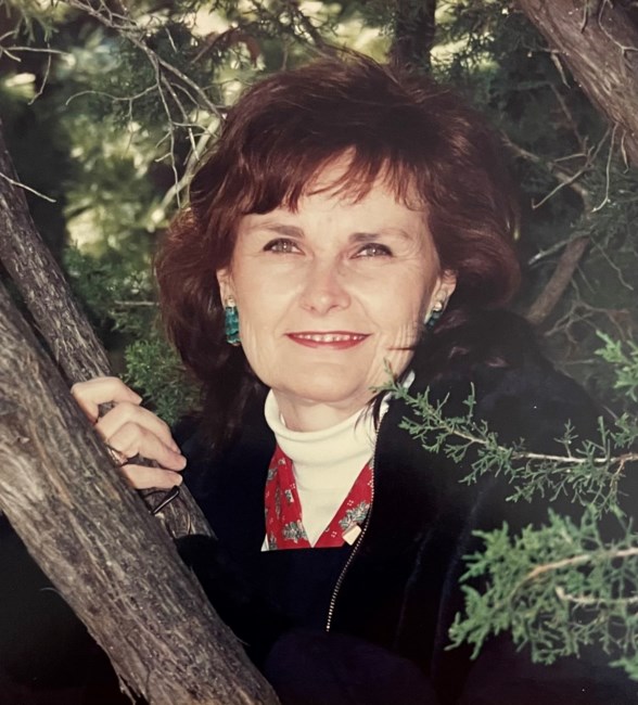 Phyllis Orzechowski Obituary - Irving, TX