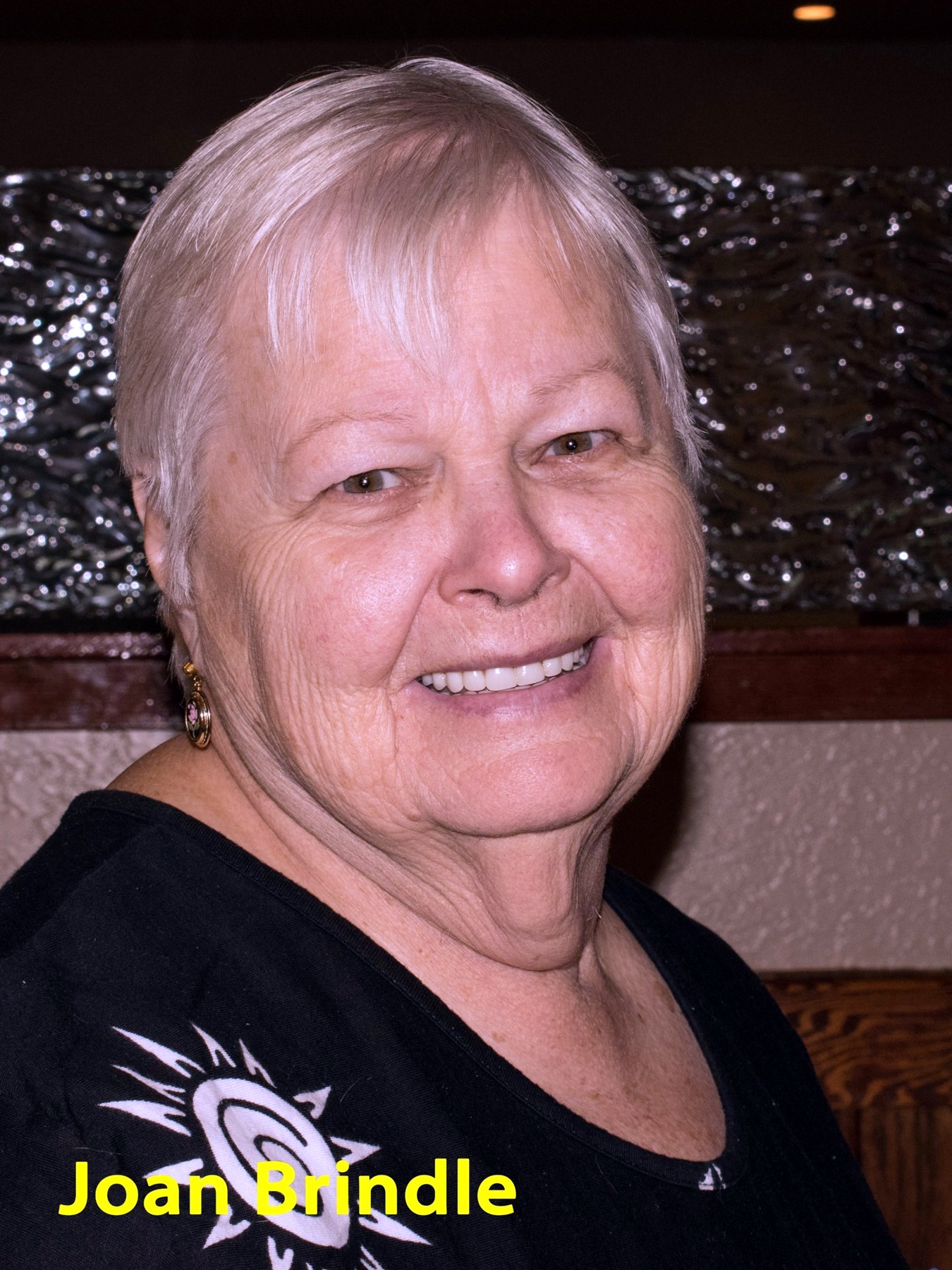 Joan Brindle Obituary - Gotha, FL