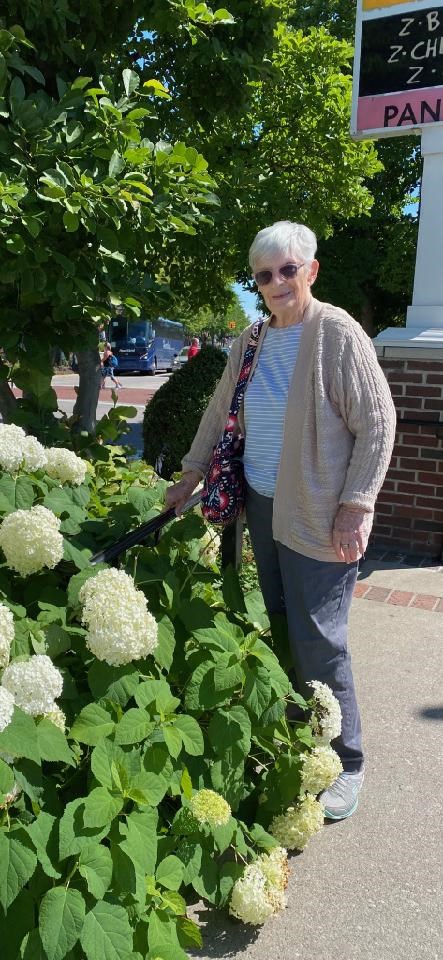 Barbara Allie Obituary - New Port Richey, FL