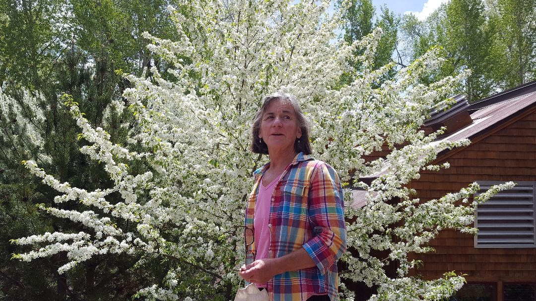 Debra Susan Karls Obituary - Grand Junction, CO