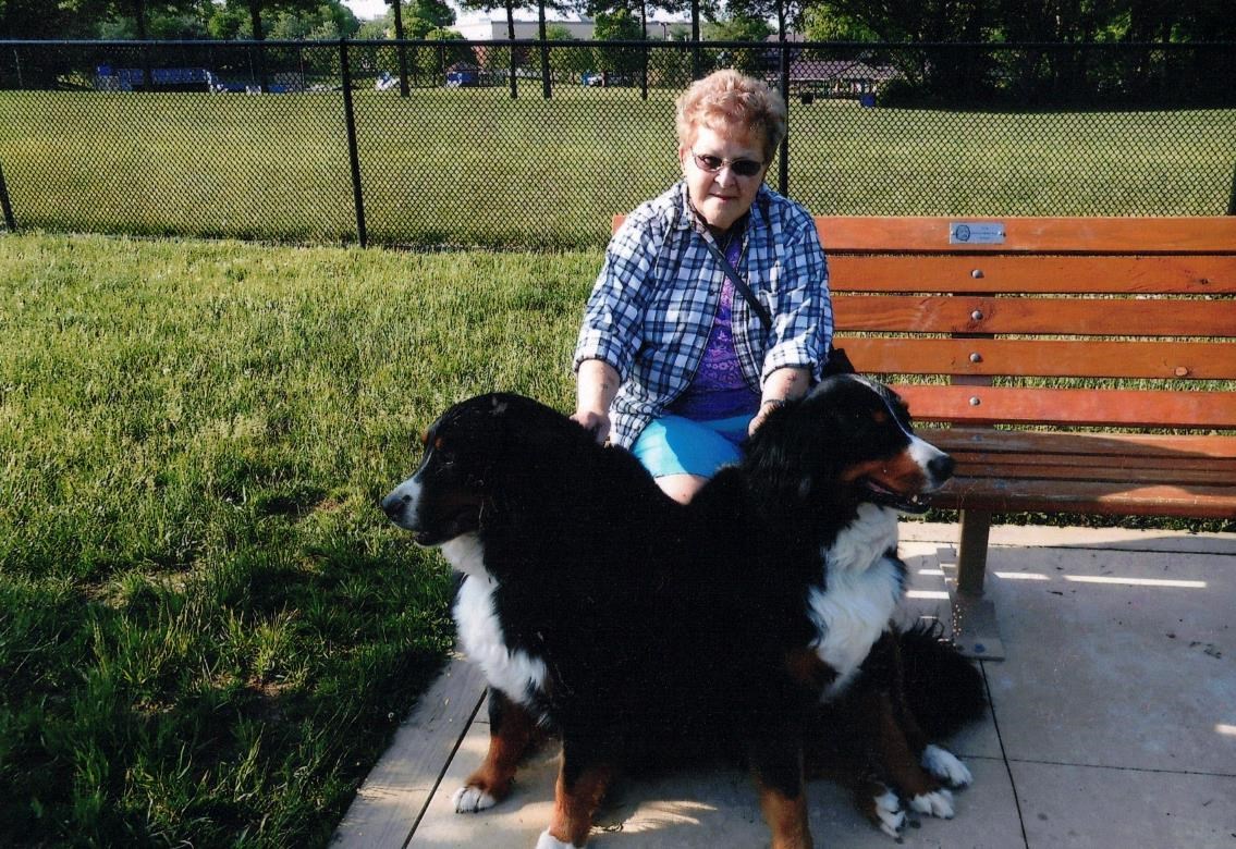 Alice Shields Obituary - Columbia, MD