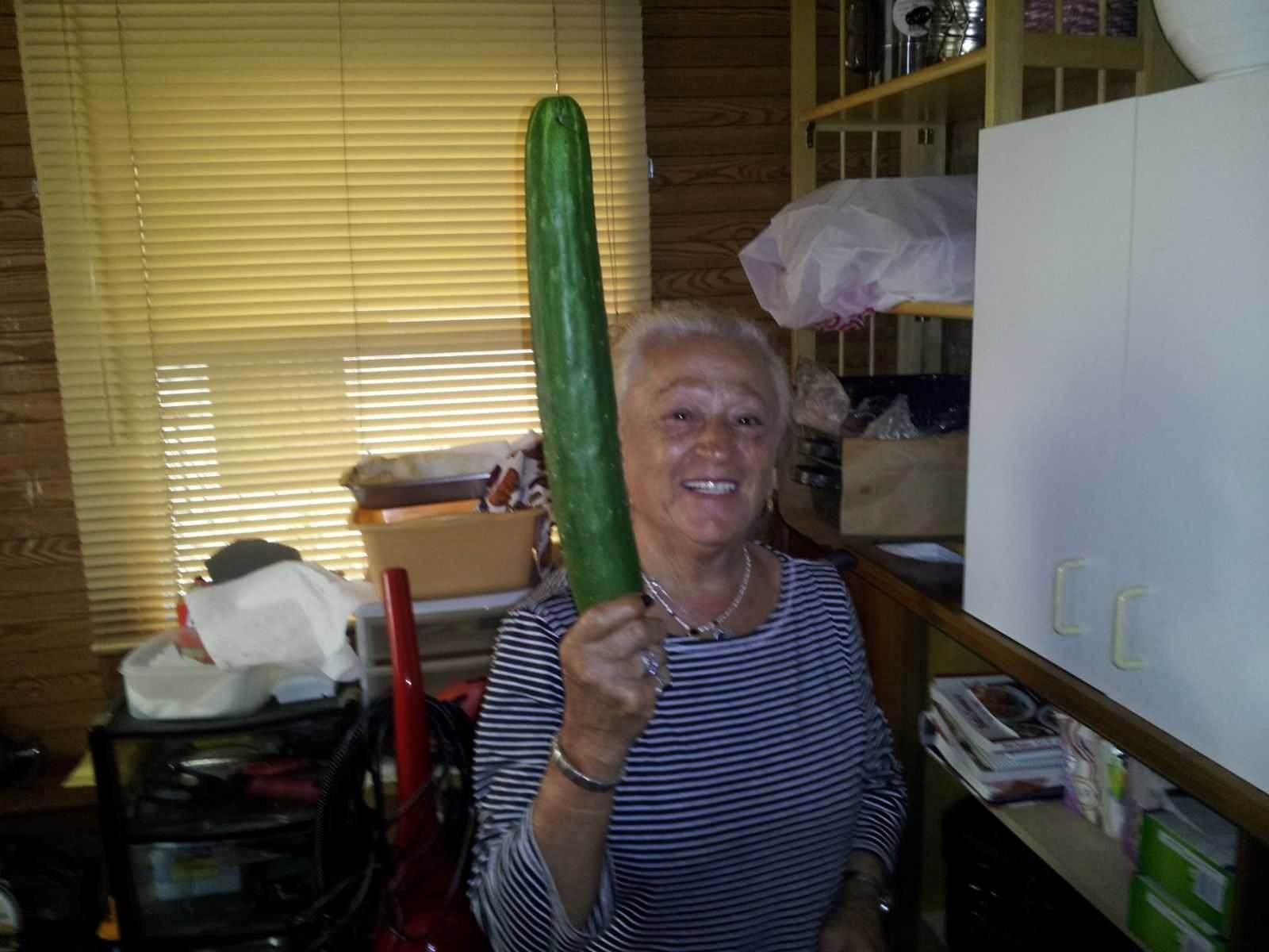 Thekla Maros Obituary - Chicago, IL