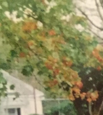 Douglas Wheeler Obituary - Raleigh, NC Douglas Wheeler Obituary - Raleigh, NC