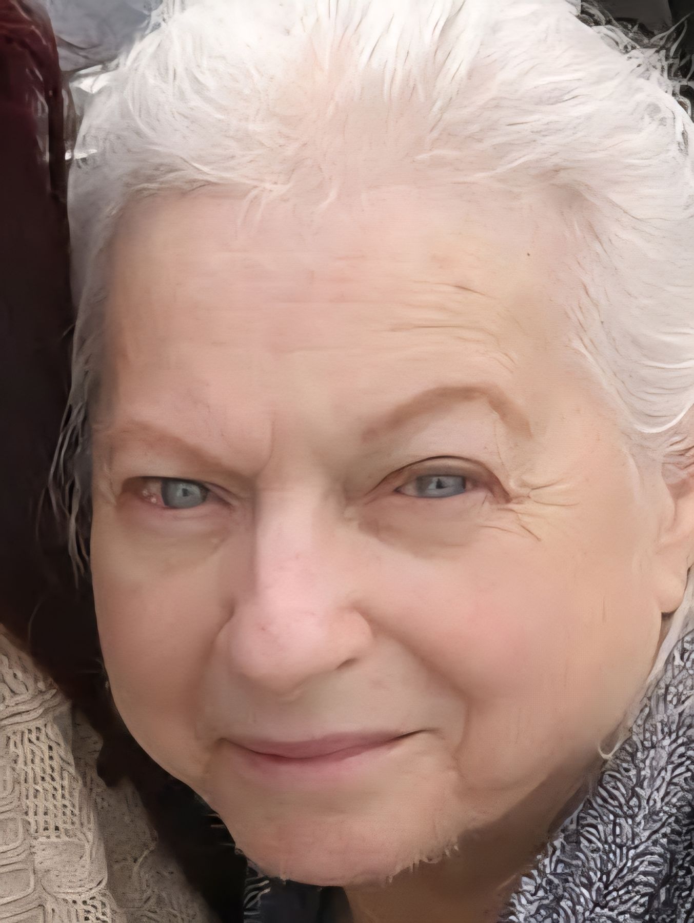 Carol Trenary Obituary - Monee, IL