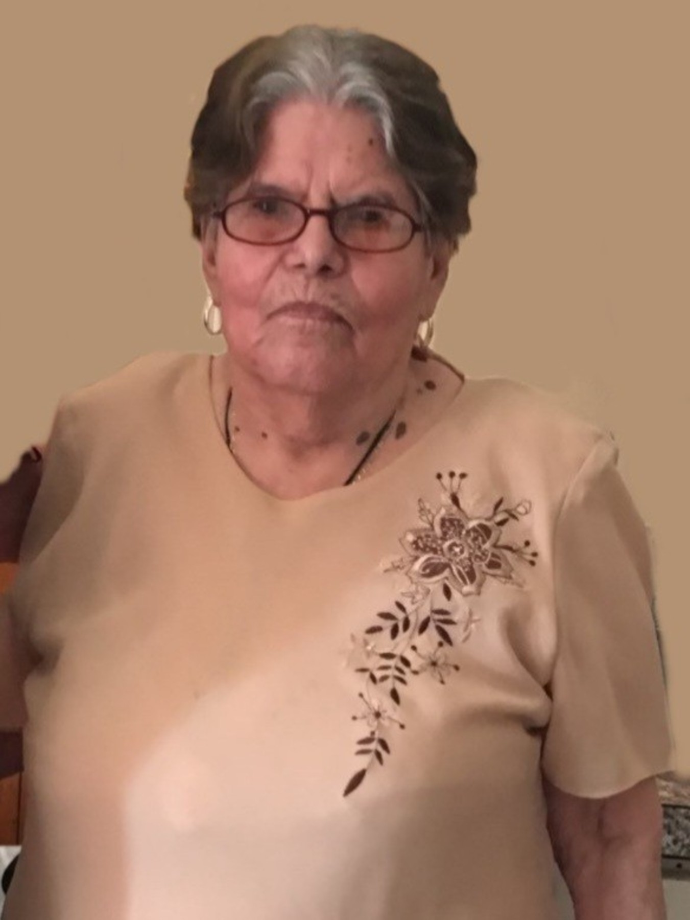 Susana Delgado Obituary - Chicago, IL