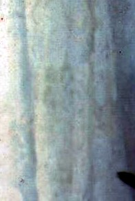 Marlis Lowery Obituary - Ankeny, IA Marlis Lowery Obituary - Ankeny, IA