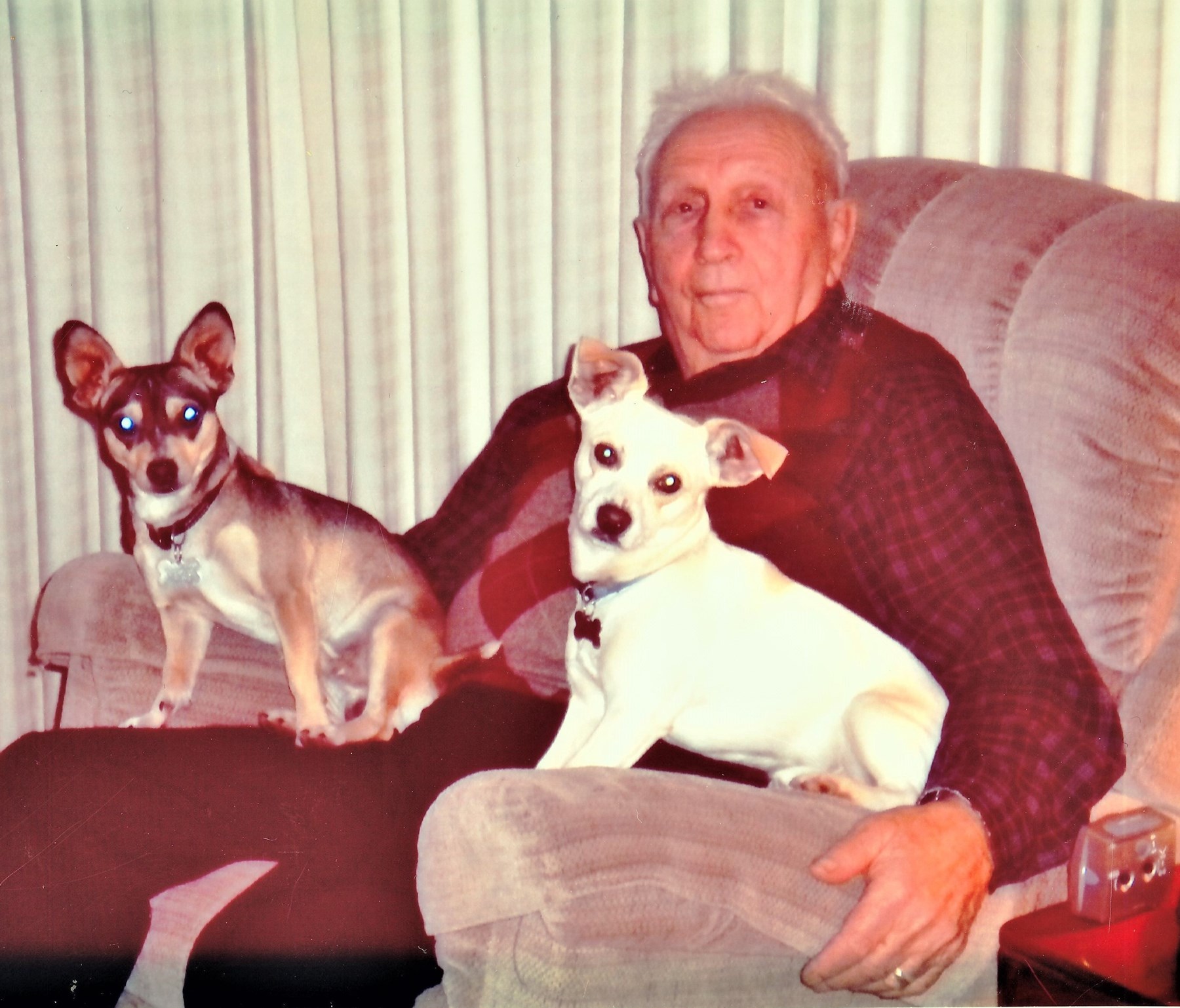 Mario Isnardi Obituary - Fresno, CA