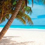 Jupiter, FL Obituaries | Find Jupiter Obituaries