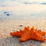 Find Obituaries & Funeral Services | Dignity Memorial