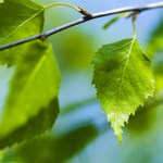 Find Obituaries & Funeral Services | Dignity Memorial