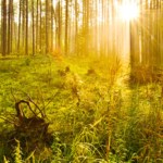 Austin, TX Obituaries Online | Find Austin Obituaries