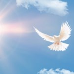 Canton, TX Obituaries | Find Canton Obituaries